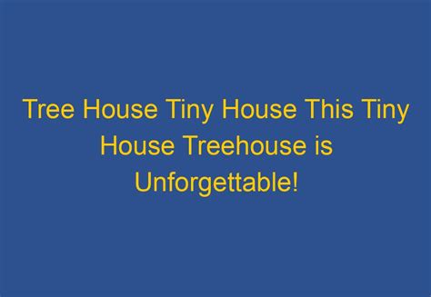 Shed To Tiny House Checklist Transforming Your Backyard Shed Into A Cozy Home