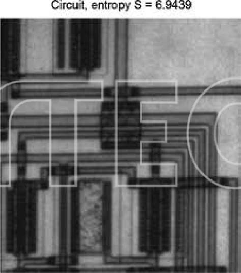 Entropy Of The Circuit Download Scientific Diagram