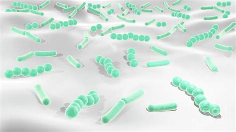 Bacteria On A Tooth Photograph By Artur Plawgo Science Photo Library