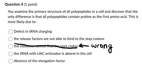Solved Question Point You Examine The Primary Chegg