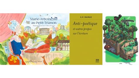 Livres Journal d un naufragé 100 jours sur une île déserte Marie