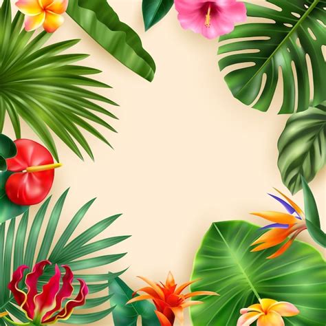 Marco De Paisaje De La Selva En Estilo Realista Vector Premium