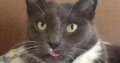 Blossom Had A Very Derp Moment Today Imgur