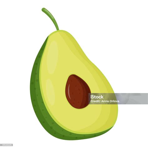 Ilustración De Mitad De Aguacate Aislado Sobre Fondo Blanco Ilustración