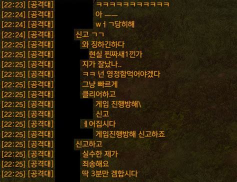 로스트아크 인벤 닉넴 현실에서약한남자 하브13 딜찍방 레이드 도중 화장실 갔다오고 뭐라하니 게임방해 로스트아크 인벤