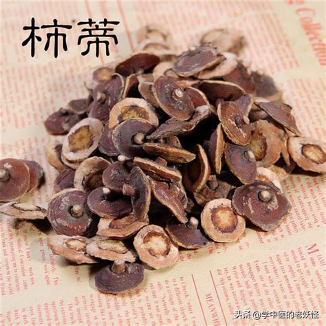 每日學習一味中藥 柿蒂