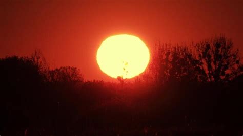 Mom And Sun Stock Video Footage For Free Download