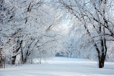 Winter Wonderland Wallpapers Top Free Winter Wonderland Backgrounds
