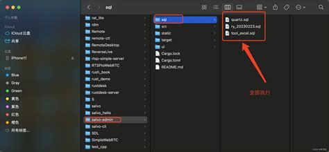 rust后台管理系统salvo admin源码编译