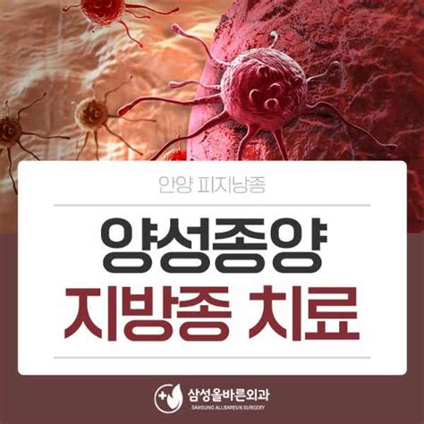 안양 피지낭종 양성종양 지방종 치료 네이버 블로그