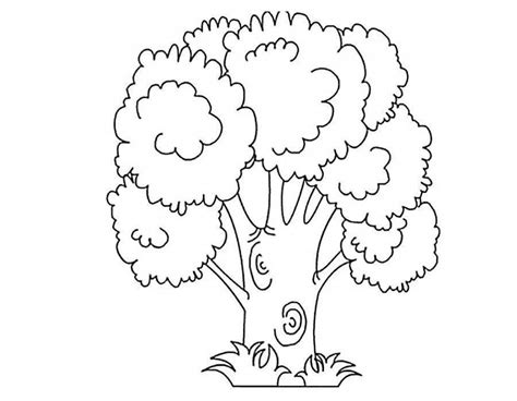 Раскраски Деревья И Кустарники 70 фото