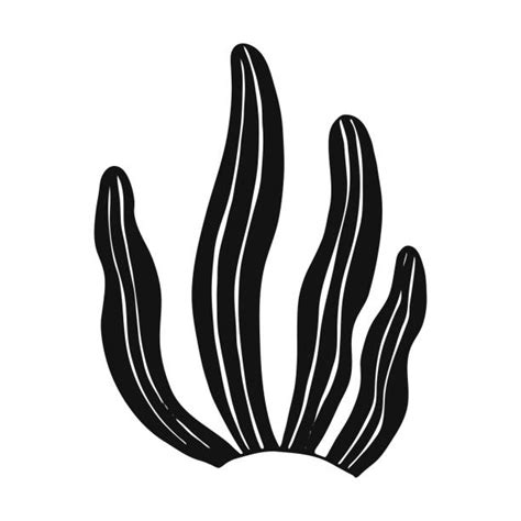 Algae Bloom Stock Vectors Istock