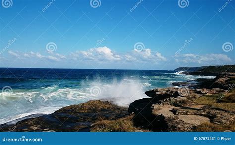 Ocean View Freshwater Nsw Australia Stock Image Image Of Rock