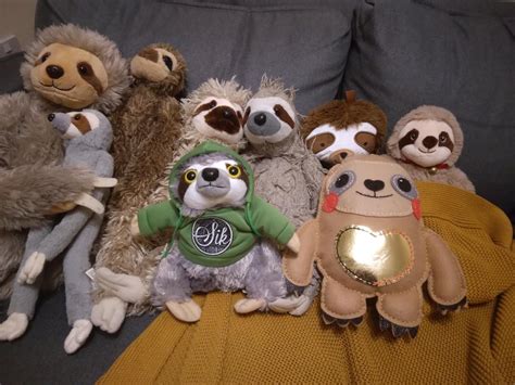 Saw Some Others Had Posted Their Sloth Friends So Thought Id Join In