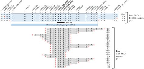 Figure 1 From A Recurrent Brca2 Mutation Explains The Majority Of