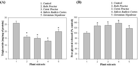 Effects Of Plant Extracts On Adipocyte Differentiation In 3t3 L1 Cells
