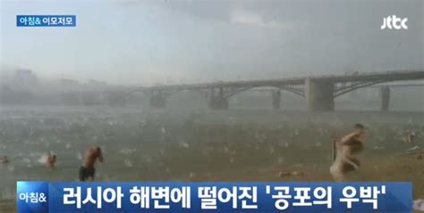 러시아 우박 참사로 쌍둥이 사망 소 이미지 이투데이