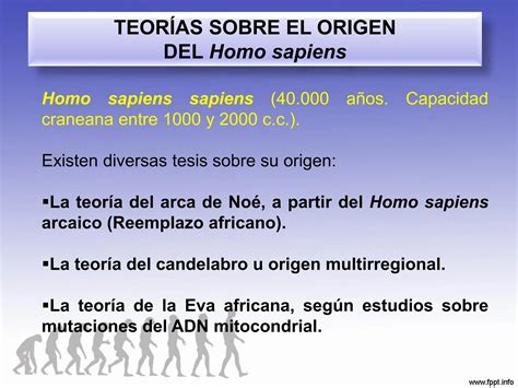 Origen y evolución del hombre teorías PPT