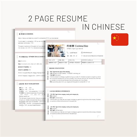 Chinese Resume Template For Word 2 Page Cv With Explanations