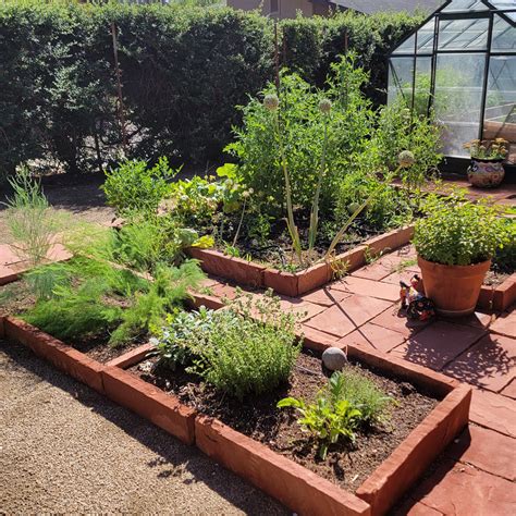 Using Moss Between Pavers