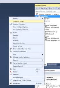 An Overview Of Ssdt Developer Support