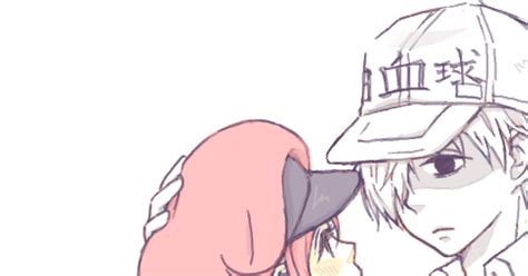 白赤はたらく細胞 白血球さんと赤血球ちゃん きみどりのイラスト Pixiv