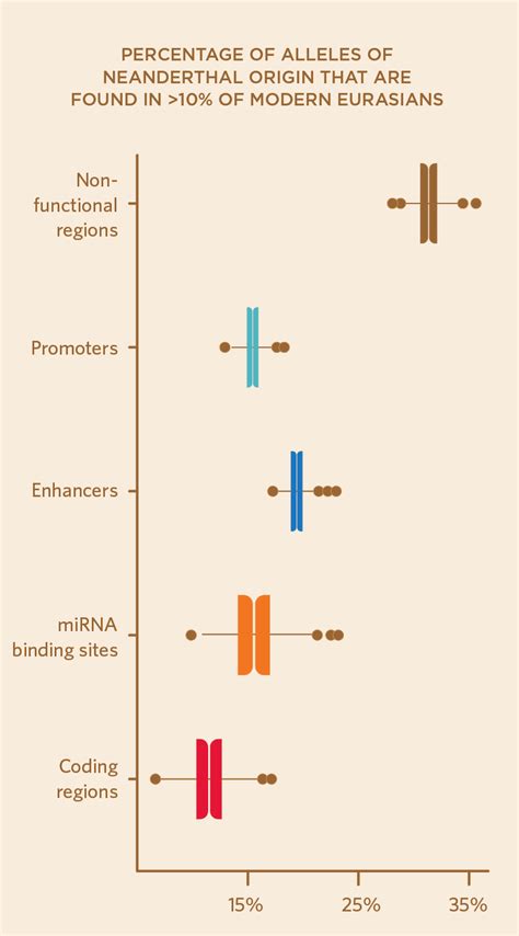 Neanderthal Dna In Modern Human Genomes Is Not Silent The Scientist Magazine®