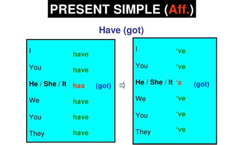 Tổng quan về hiện tại đơn have và các cách sử dụng trong tiếng Việt