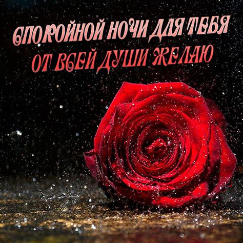 Красивые картинки с пожеланием спокойной ночи