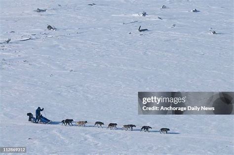 11 Shaktoolik Alaska Photos And High Res Pictures Getty Images