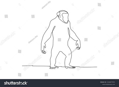 곰 라인드로잉 36266개가 넘는 로열티 프리 라이선스 대상 스톡 벡터 및 벡터 아트 Shutterstock
