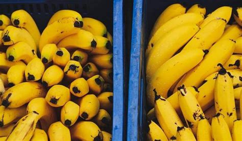 Waarom Zijn Bananen Krom Stuudje Net Meerdere Redenen