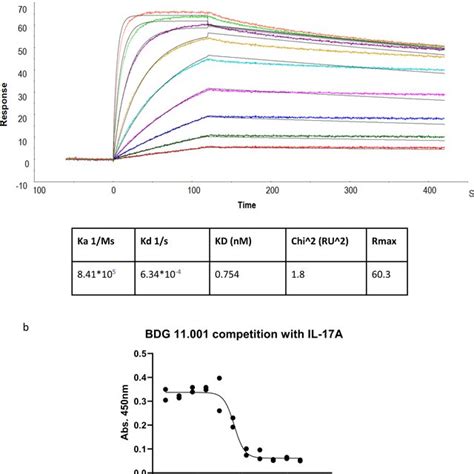 Bdg11001 Binds Il 17a And Competes With Il 17ra A Spr Binding Kinetics