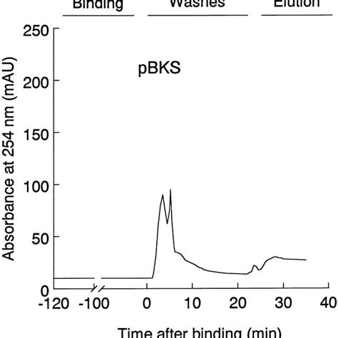 A HPLC Analysis Of A Clear Lysate B HPLC Analysis Of Plasmid DNA Download Scientific