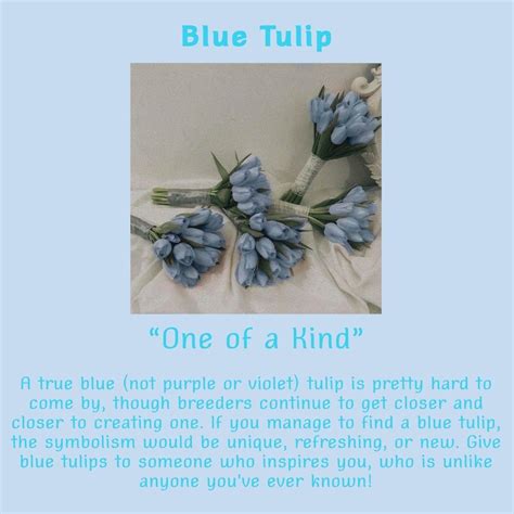 Blue Tulip Meaning Tulips Meaning Healing Flowers Rose Color Meanings