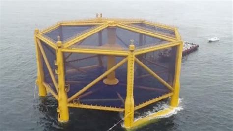 China To Build Offshore Salmon Farm That Dwarfs “deep Blue 1s” Deep