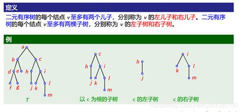 离散数学学习笔记——第九讲——树（82有向树——1根树） Csdn博客