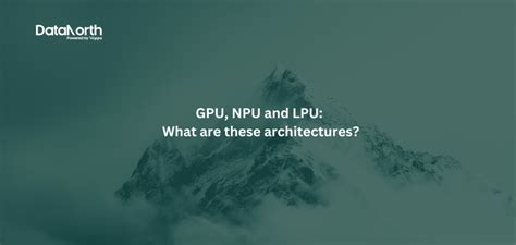 Gpu Lpu And Npu What Are These Architectures Datanorth