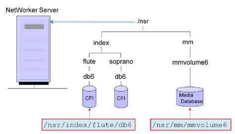 The Overview Of Networker Client File Index DELL Technologies