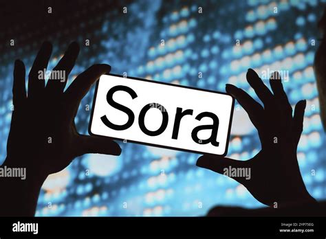 Openai Announced Sora Artificial Intelligence Which Transforms Text