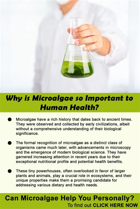 Microalgae Natures Tiny Powerhouses Of Nutrients And Health Benefits Vitaminpros