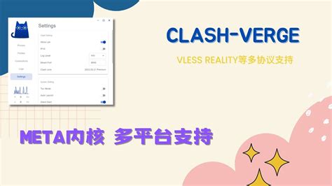 Clash Verge客户端meta 核心支持多种协议，reality Hysteria Vless中文界面clash客户端歇斯底里