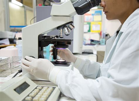 Validation And Calibration Importance Of Quality Assurance In Forensic Dna