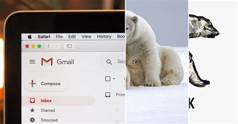 List Polars Curated By Colin Bieberstein Medium