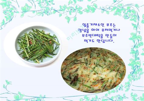 잎과 줄기를 먹어요잎줄기채소 이야기나누기 상호작용 잎줄기채소의 종류 잎줄기채소 수확하기 텃밭프로젝트 채소프로젝트 식물프로젝트사범교육레포트