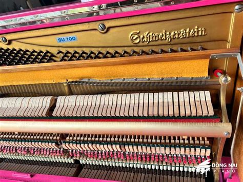 N Piano C Schweizerstein Su Nh P Kh U Nh T B N C Ng Ngh C
