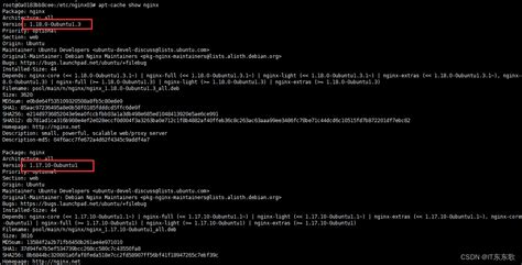 基于Ubuntu系统Nginx的两种安装方式 漫思 博客园 基于Ubuntu系统Nginx的两种安装方式 漫思 博客园