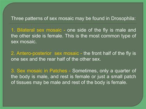 Sex Determination Ppt