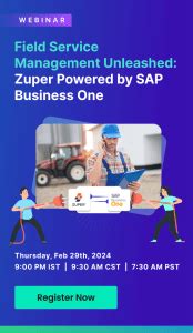 Browser Access In SAP Business One 9 2