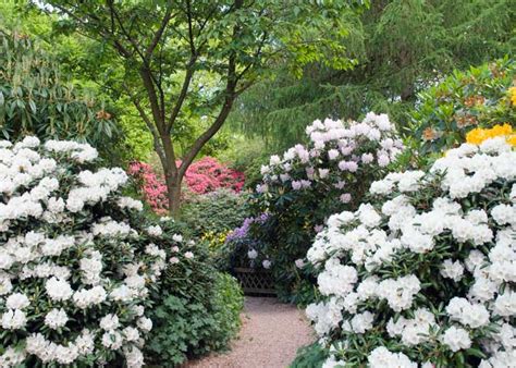 Julia Stanley Photography Gallery